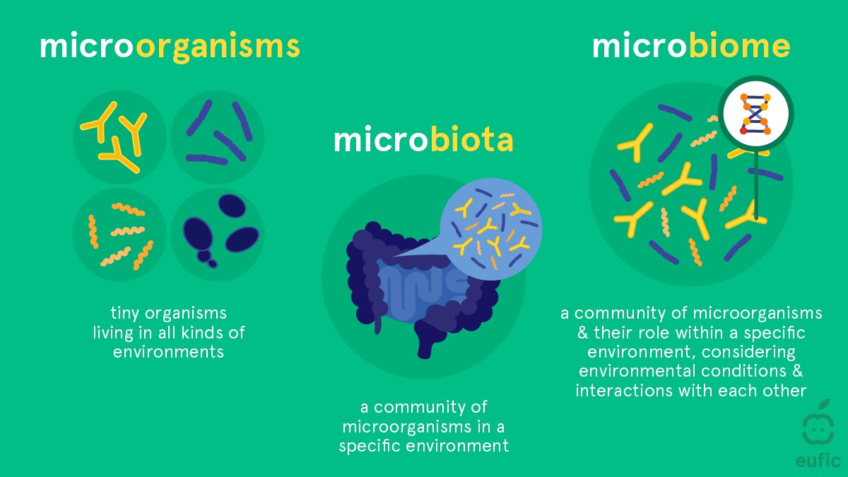 Relationship between microbiota and nutrition: TENDENCIAS EN NUTRICIÓN ...